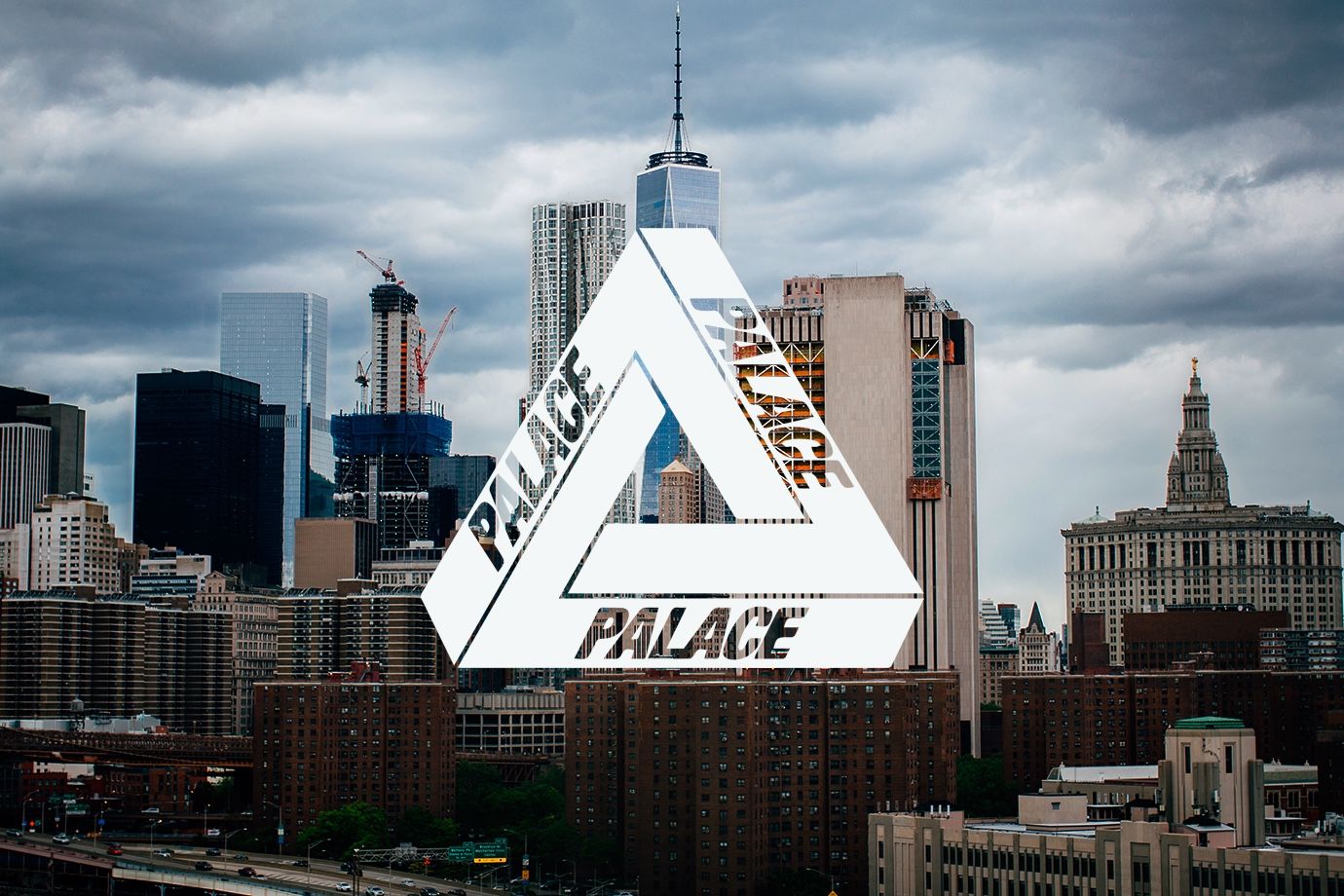 NYC Literally Went Bat-Sh*t Crazy During the Palace Store Opening