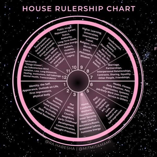 Birth Chart 101: Decoding the 12 Houses in Astrology