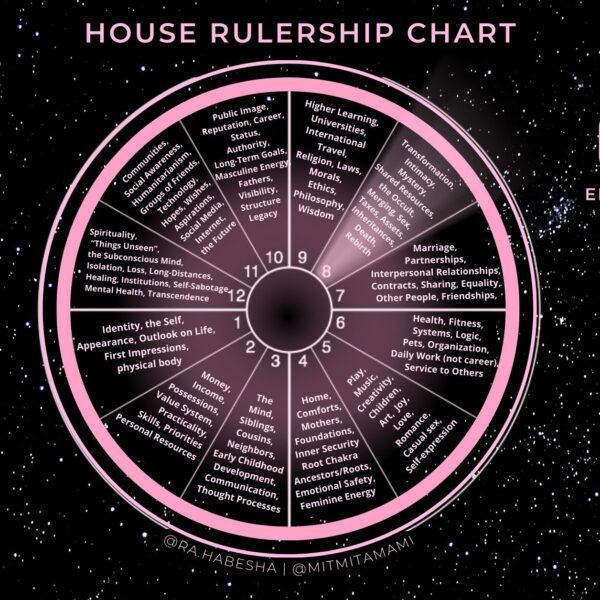 Birth Chart 101: Decoding the 12 Houses in Astrology