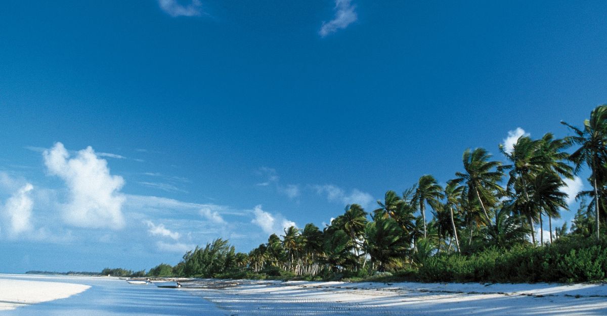 Bahamas-final - MEFeater