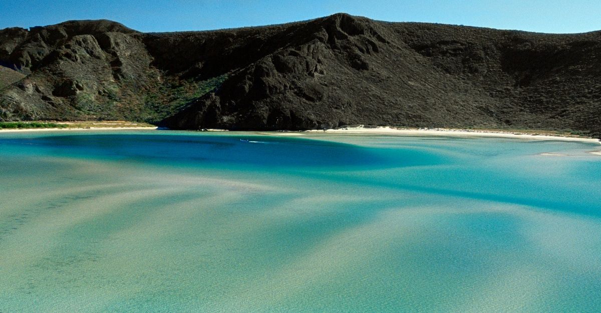 Baja-final - MEFeater